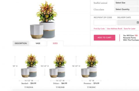 A Complete Guide: Shopify Product Image Size for eCommerce Store
