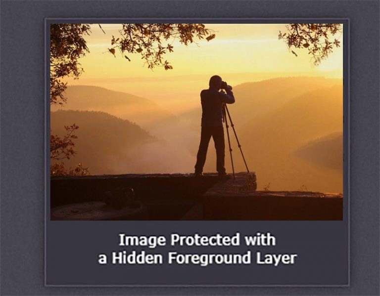 How To Protect Photography Online and Take Action