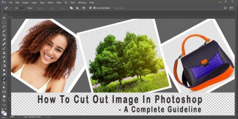 How To Cut Out Image In Photoshop- A Complete Guideline