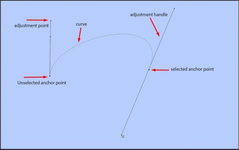 How To Cut Out Image In Photoshop- A Complete Guideline