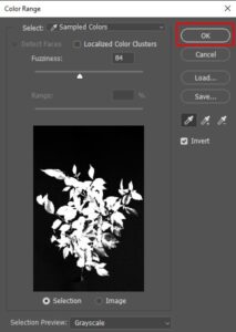 How to Remove White Background in Photoshop - 5 Fast Methods