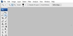 How to Use Refine Edge in Photoshop for Perfect Selections - Clipping ...