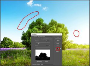 How To Cut Out Image In Photoshop- A Complete Guideline