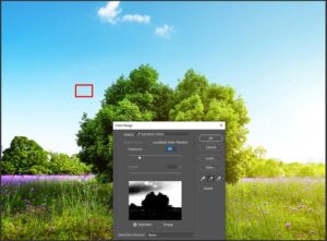 How To Cut Out Image In Photoshop- A Complete Guideline